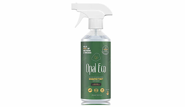 10 Best Upholstery Cleaners to Tackle Stains and Dirt 2025 | Mumsnet